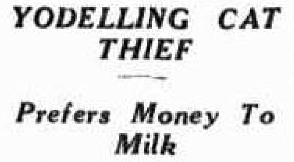 The Yodelling Milk Money Thief and Other Scoundrels | Highgate Hill and ...