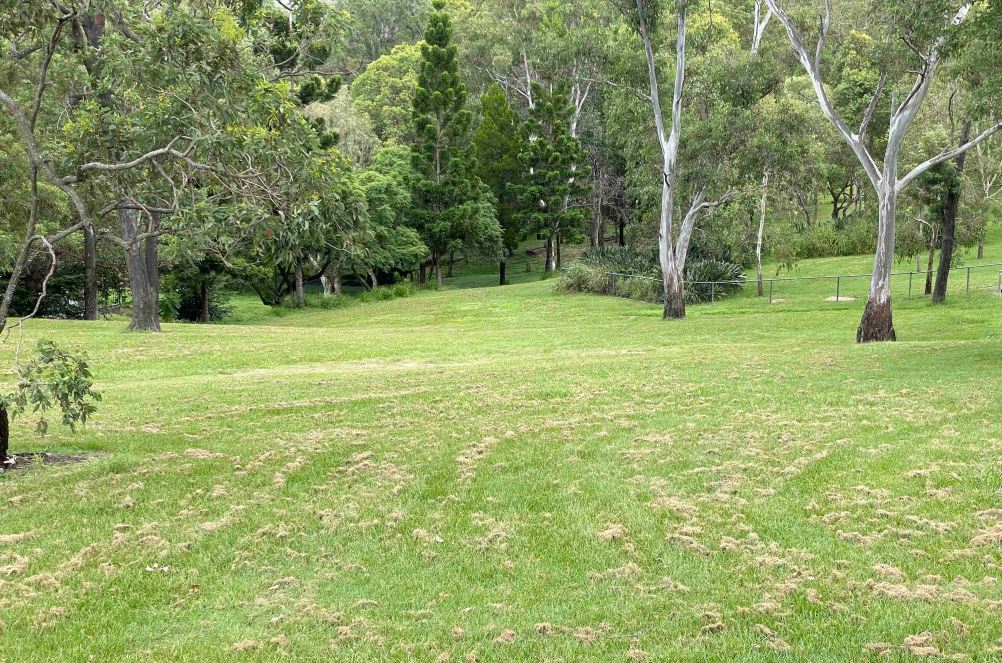 The Dutton Park Garden Theatre | Highgate Hill and Its History