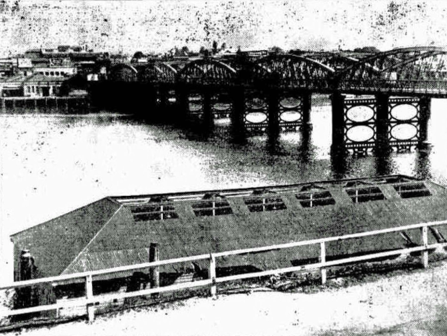 Making a Splash – Brisbane’s Floating Swimming Baths | Highgate Hill ...